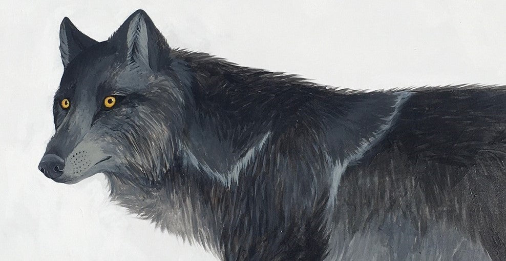 Wolfit's Fine Art – Wolfit's Fine Art